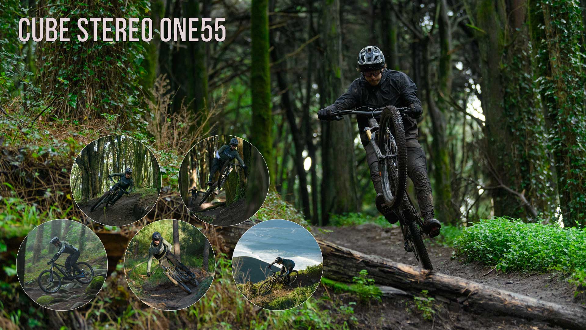 Cube Stereo ONE55 kaufen - All Mountain Fully MTB | MHW Bike
